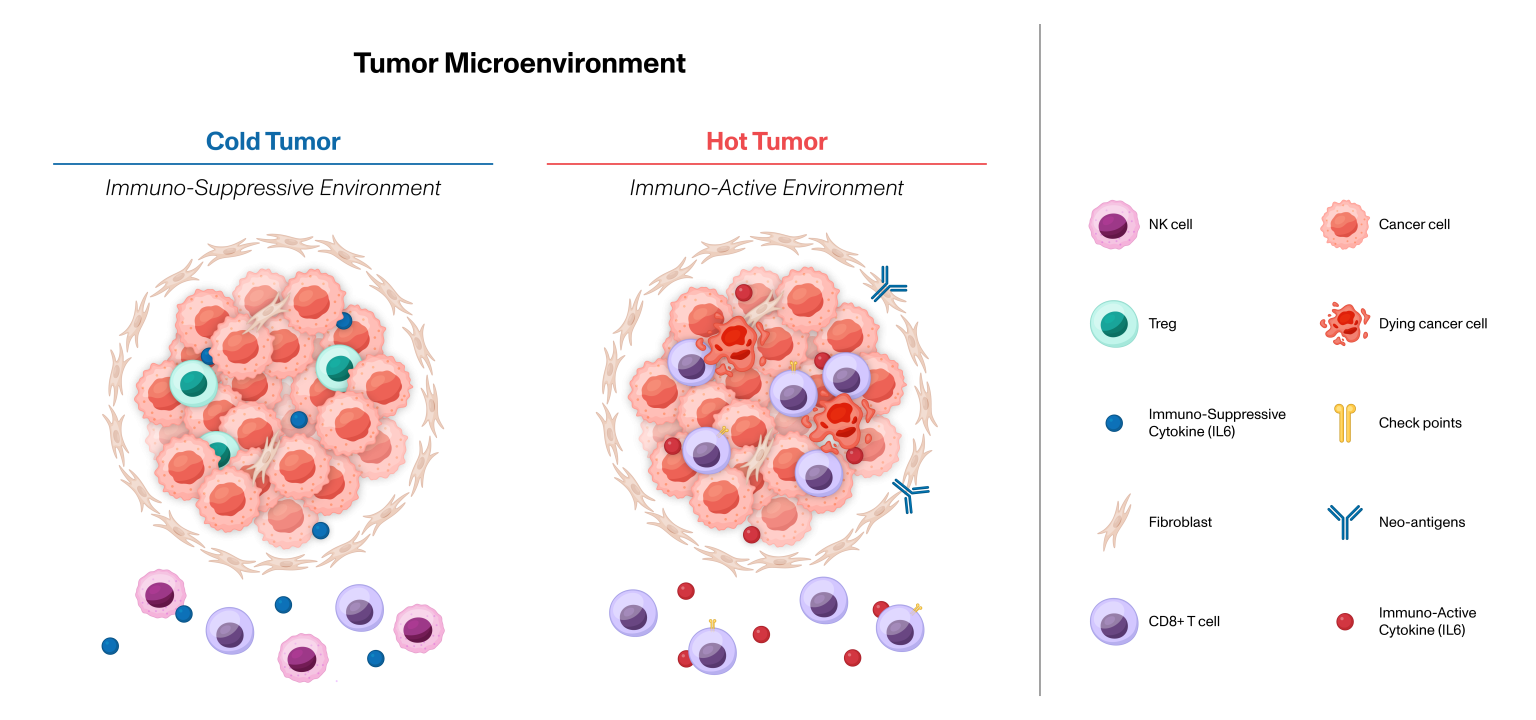 Blog: Syngeneic Tumor Models - ChemPartner